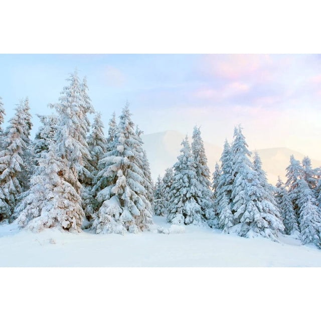 Winter Photophone Night Sky Moon Snow Forest Trees Family Portrait ...
