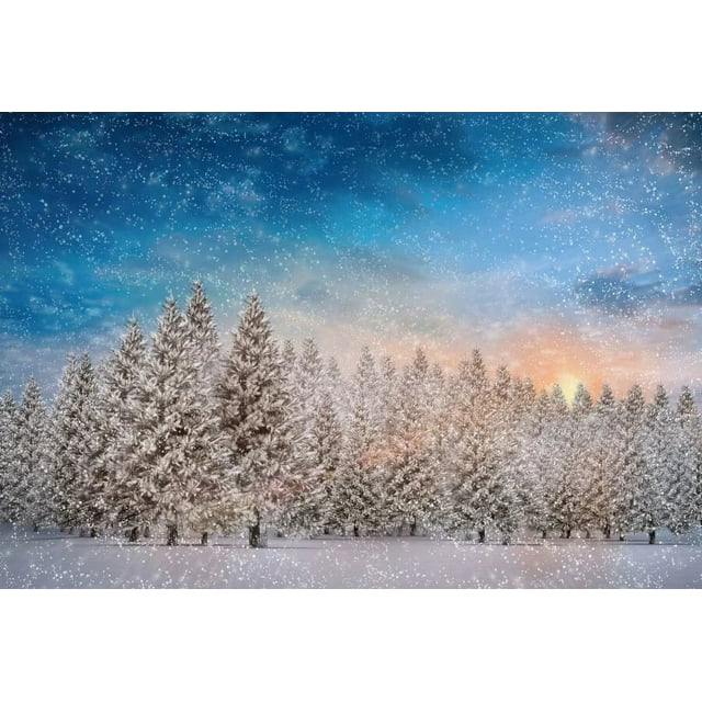 Winter Photophone Night Sky Moon Snow Forest Trees Family Portrait ...