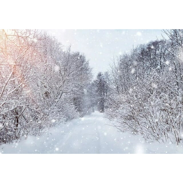 Winter Photophone Night Sky Moon Snow Forest Trees Family Portrait ...
