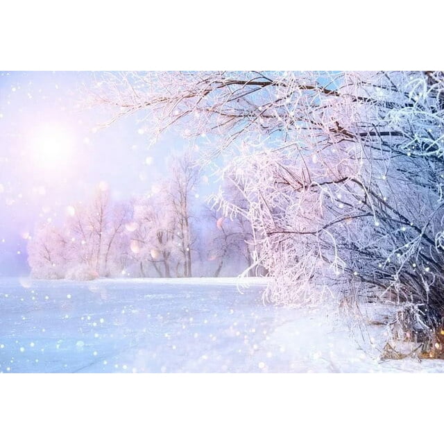 Winter Photophone Night Sky Moon Snow Forest Trees Family Portrait ...