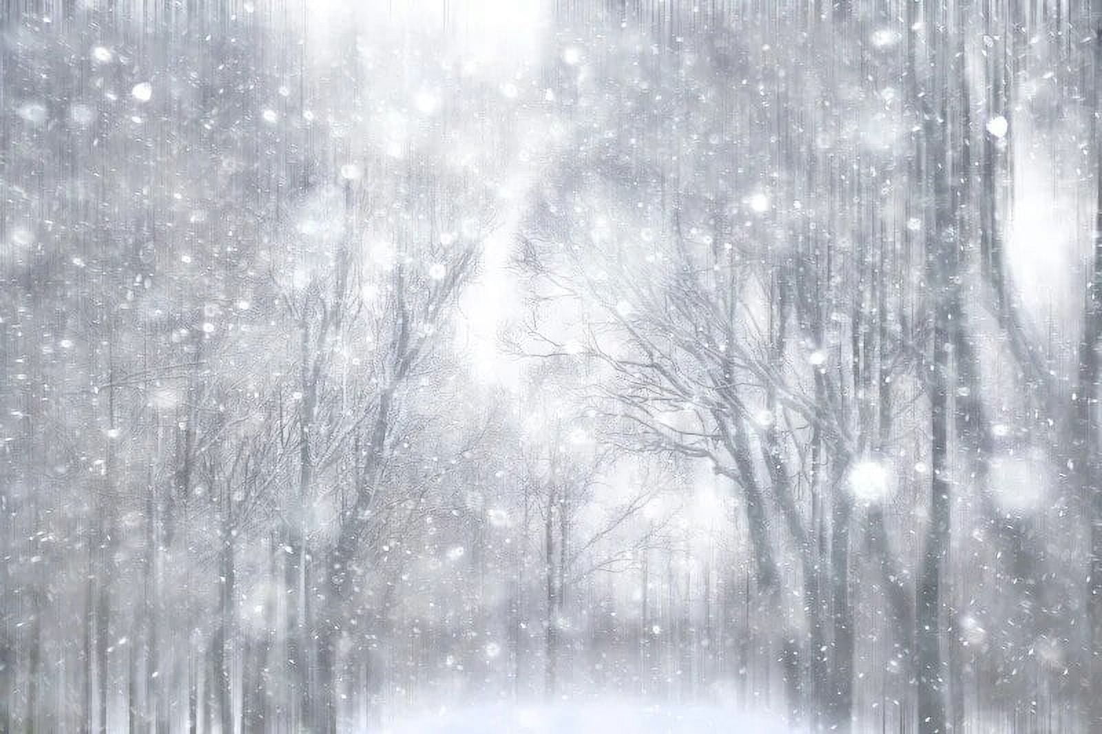 Winter Photophone Night Sky Moon Snow Forest Trees Family Portrait ...