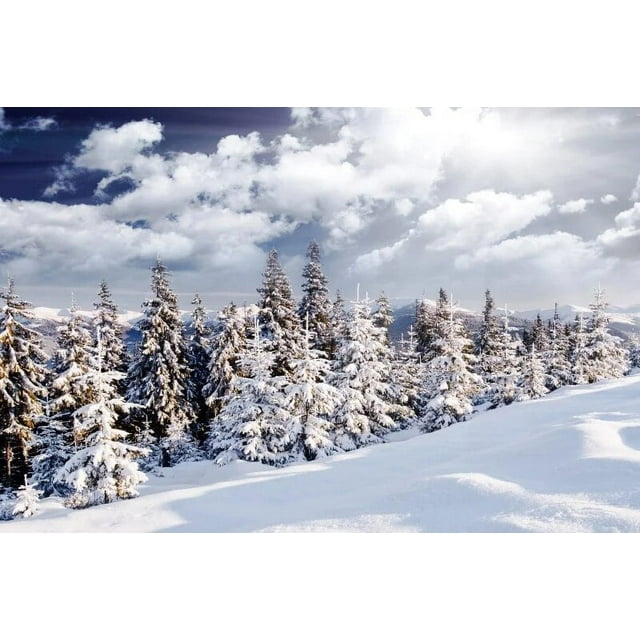 Winter Photophone Night Sky Moon Snow Forest Trees Family Portrait ...