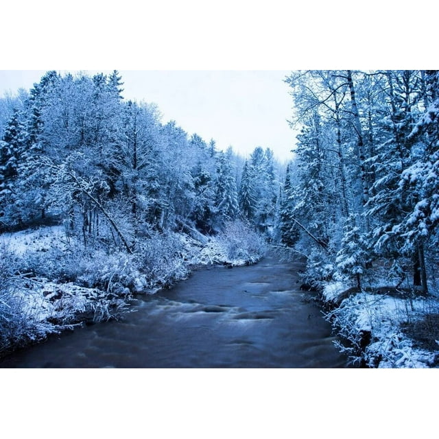 Winter Photophone Night Sky Moon Snow Forest Trees Family Portrait ...