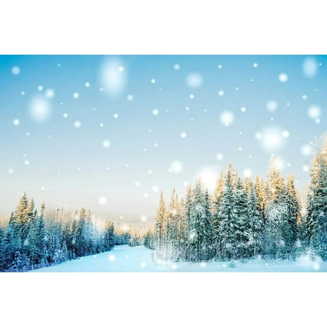 Winter Photophone Night Sky Moon Snow Forest Trees Family Portrait ...