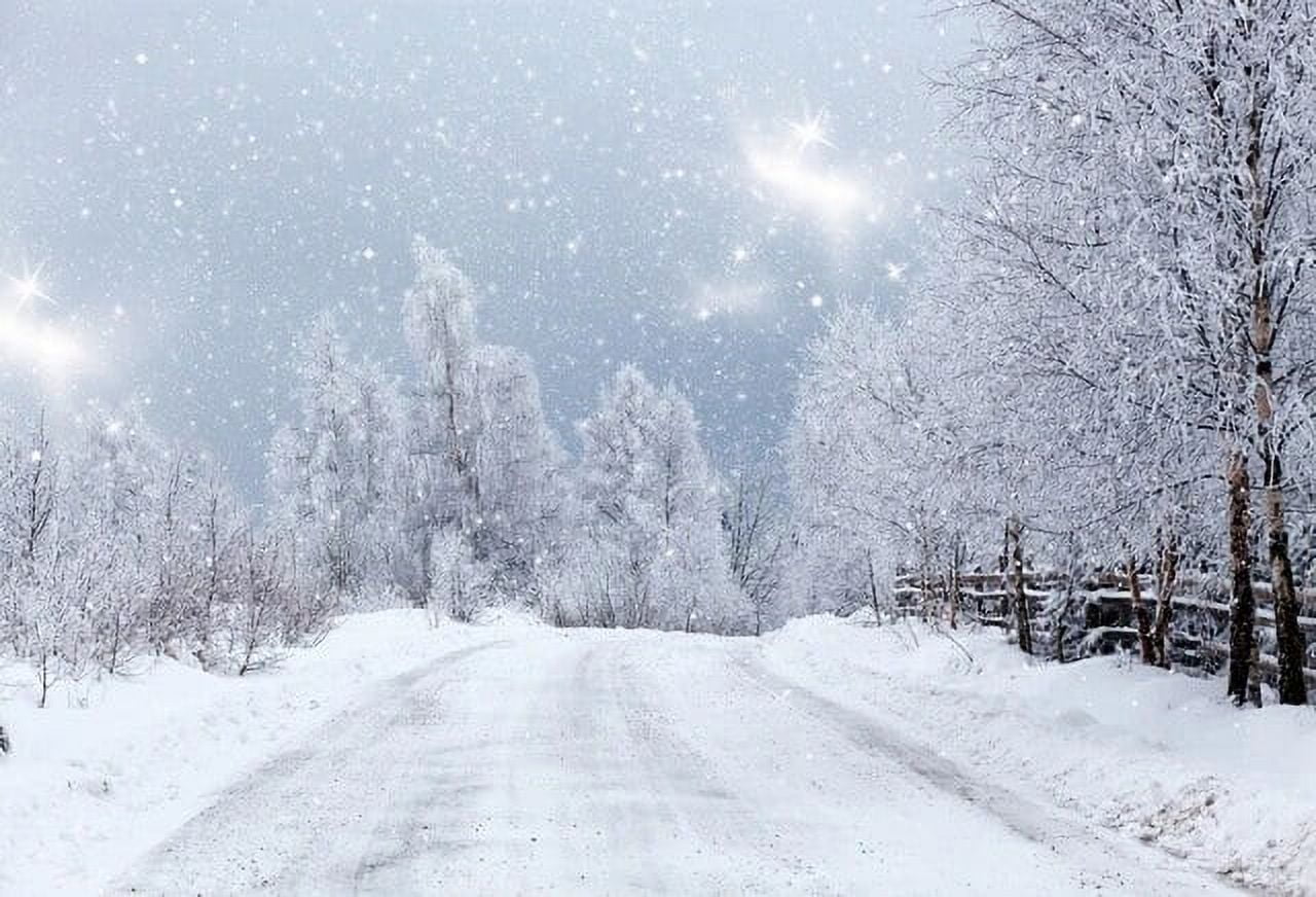 Winter Photophone Night Sky Moon Snow Forest Trees Family Portrait ...