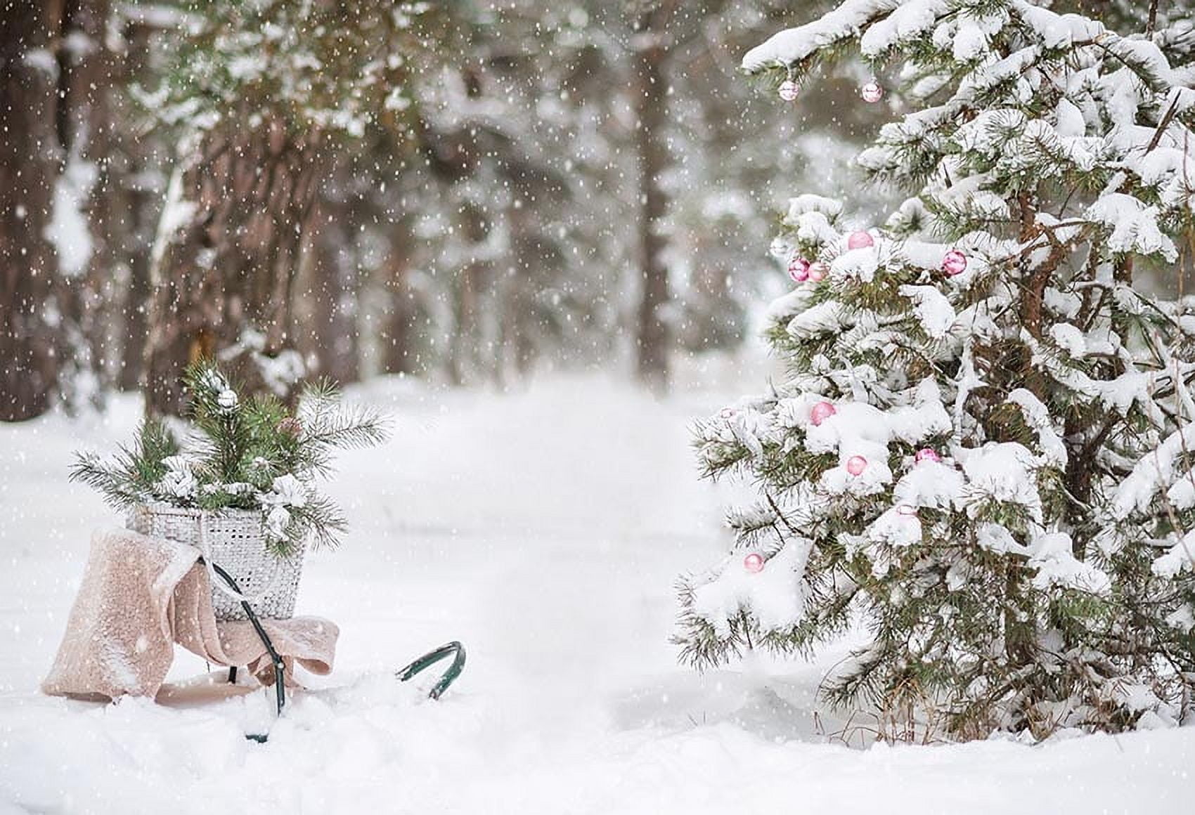 Winter Pine Snowfield Forest Wonderland Children Newborn Birthday ...