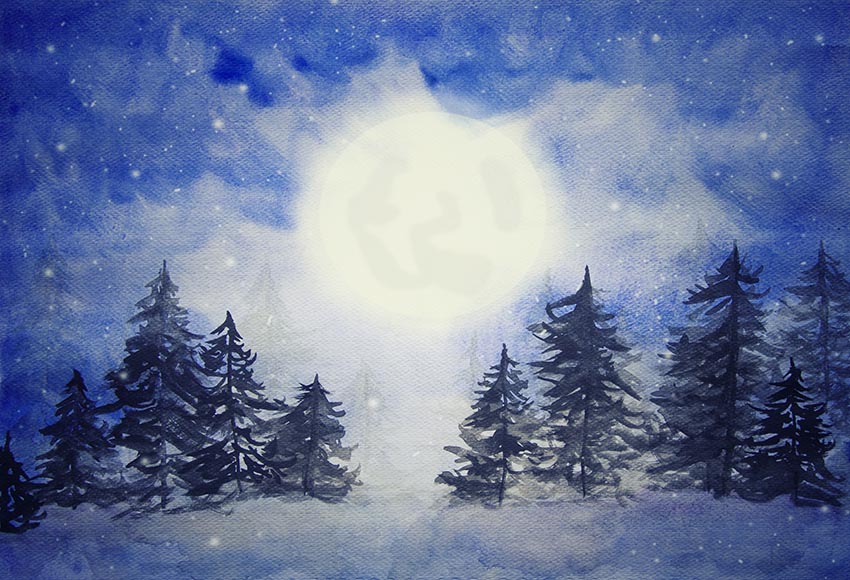 Winter Pine Snowfield Forest Wonderland Children Newborn Birthday ...