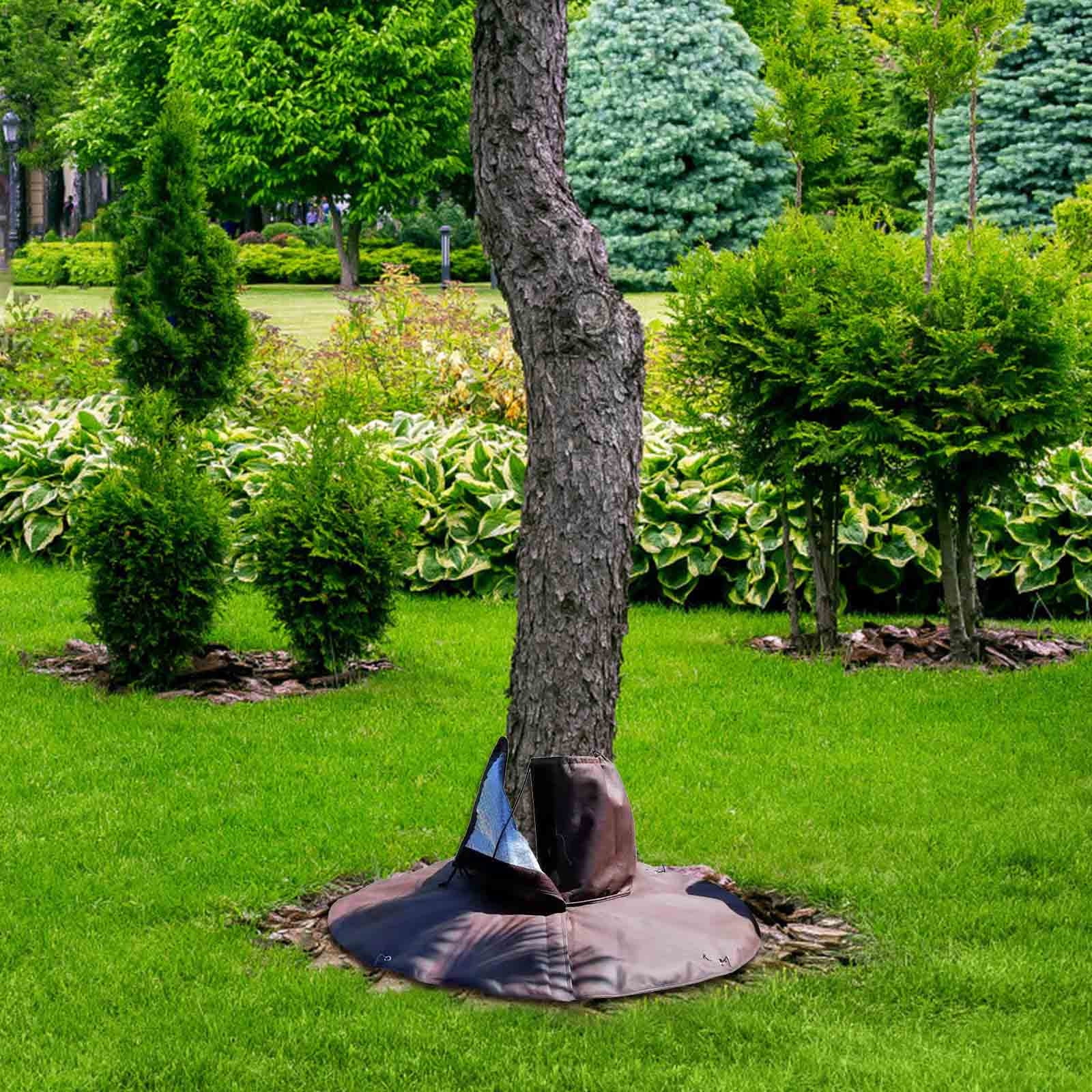 Winter Protection For Palm Trees Root, Frost Protection For Branches ... Winter Protection For Palm Trees Root, Frost Protection For Branches ...