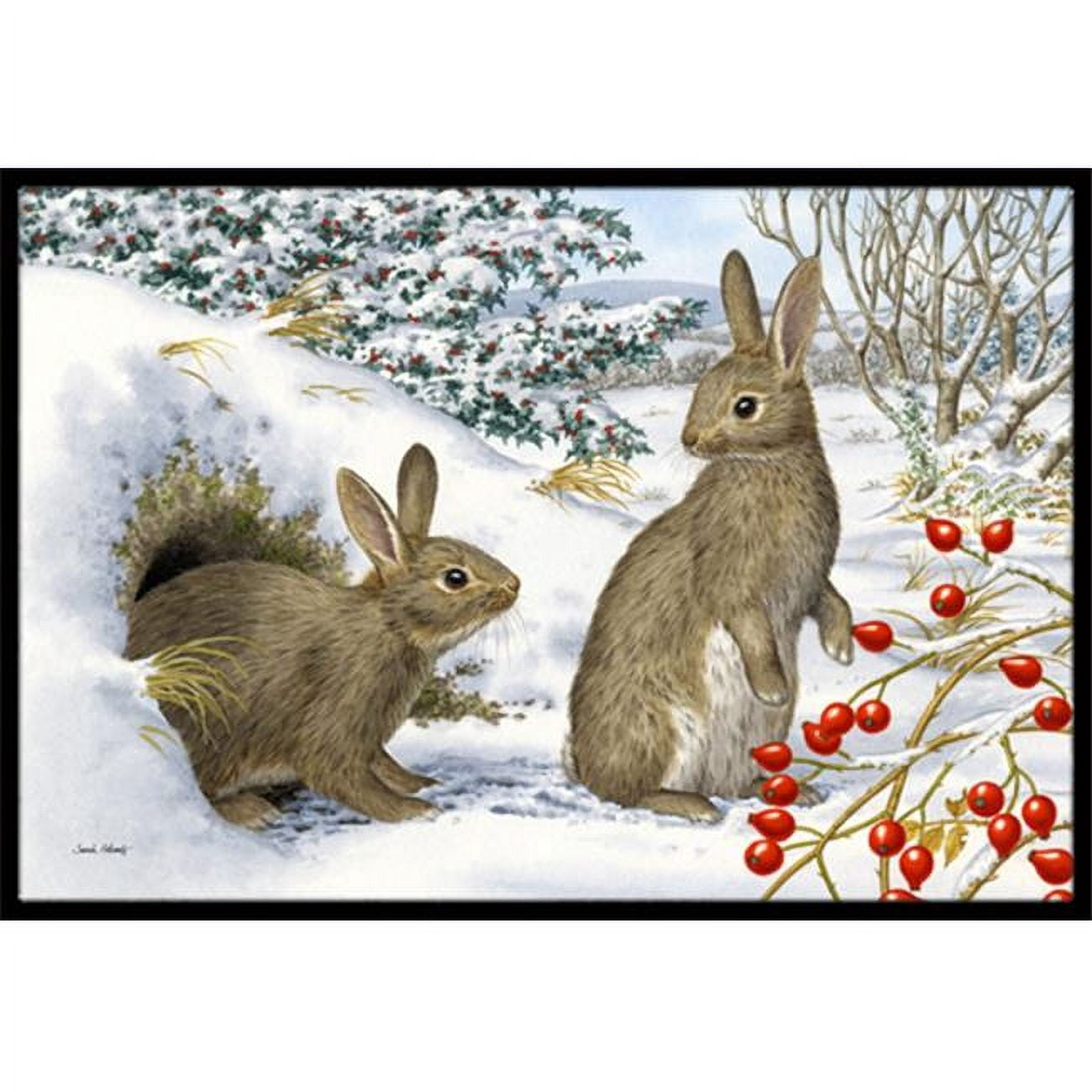 Winter Rabbits Indoor or Outdoor Mat, 24 x 36 - Walmart.com