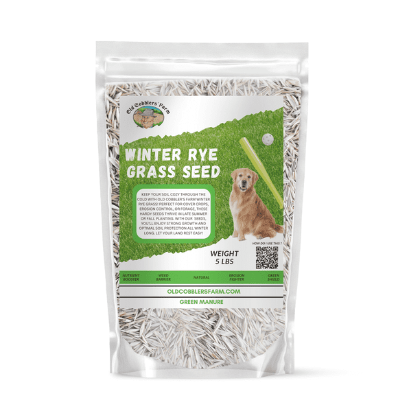 Winter Rye Grass Seed – 25 lb Bag, Cold-Weather Cover Crop & Soil ...