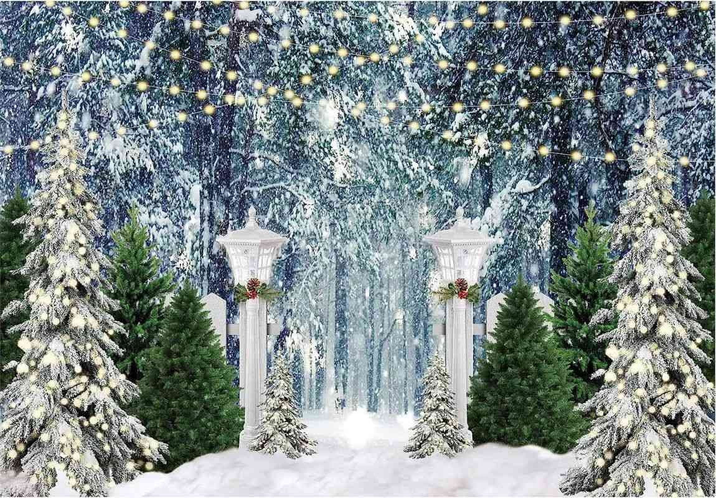 Winter Scene Backdrop White Snow Mountain Forest Photography Background ...