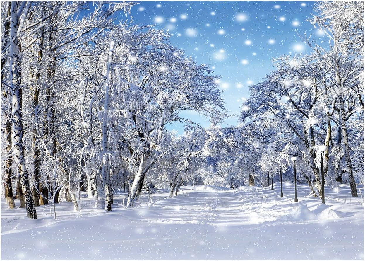 Winter Scene Backdrop Winter White Snowy Forest Photography Backdrops ...