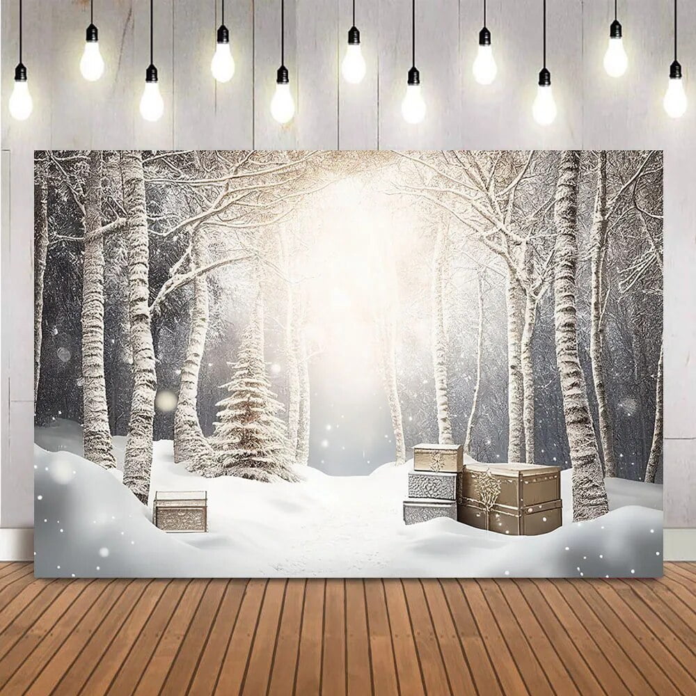 Winter Scene Backdrop for Photography Retio Box Kids Portrait Christmas ...