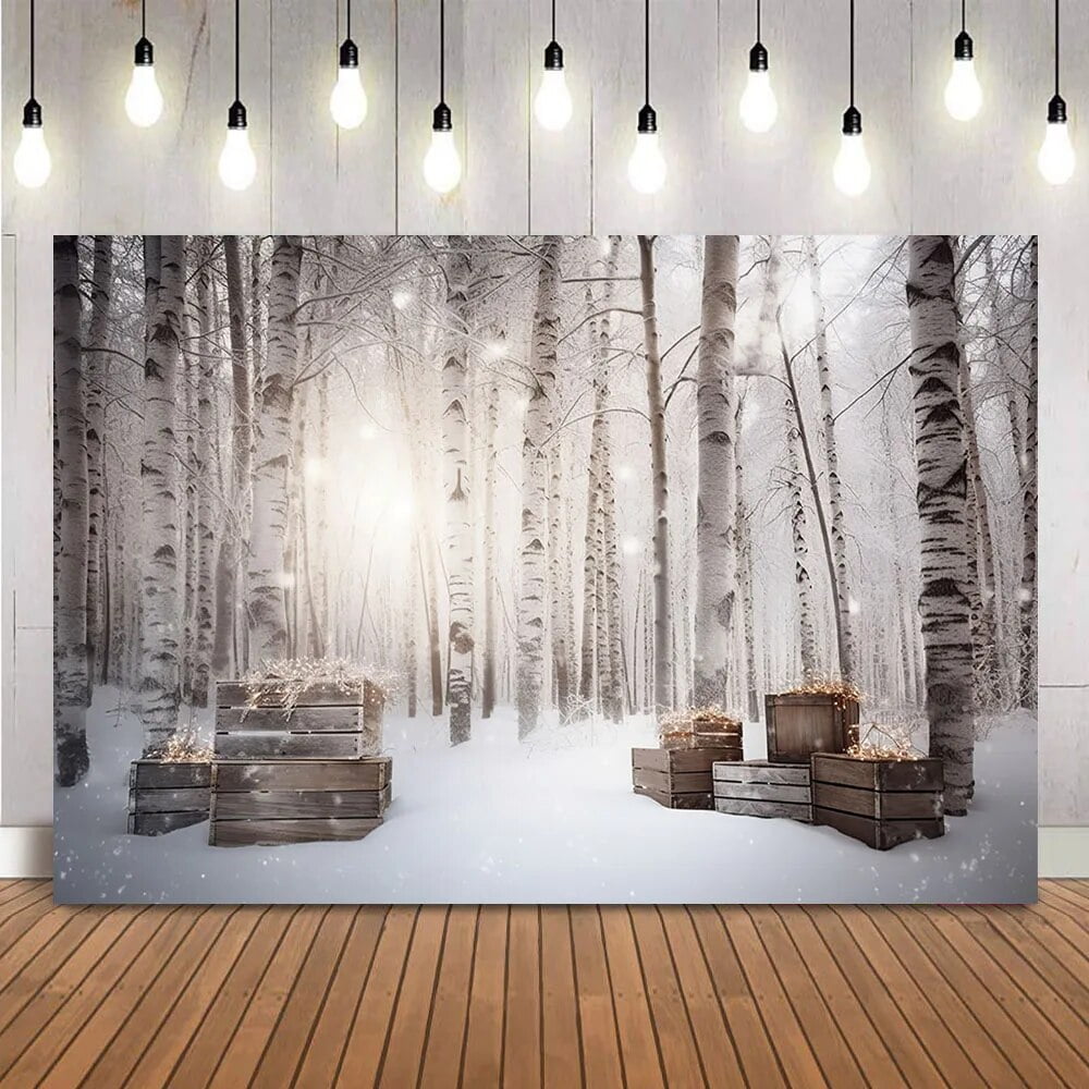Winter Scene Backdrop for Photography Retio Box Kids Portrait Christmas Background for ...