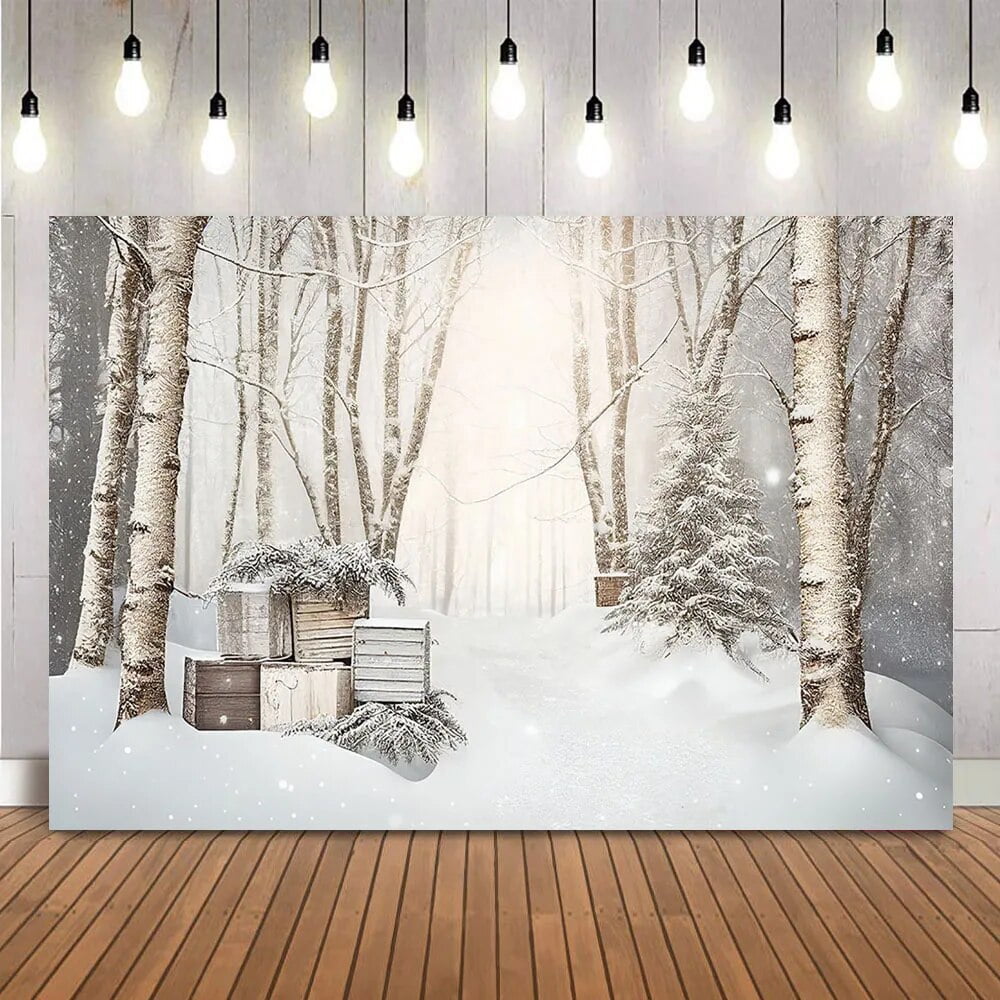 Winter Scene Backdrop for Photography Retio Box Kids Portrait Christmas ...