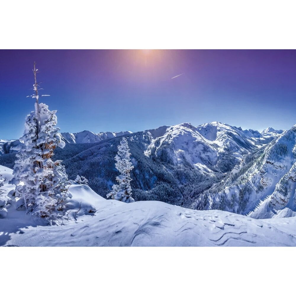 Winter Shooting Star Snowflake Backdrop Village Wall Photo Glitter ...