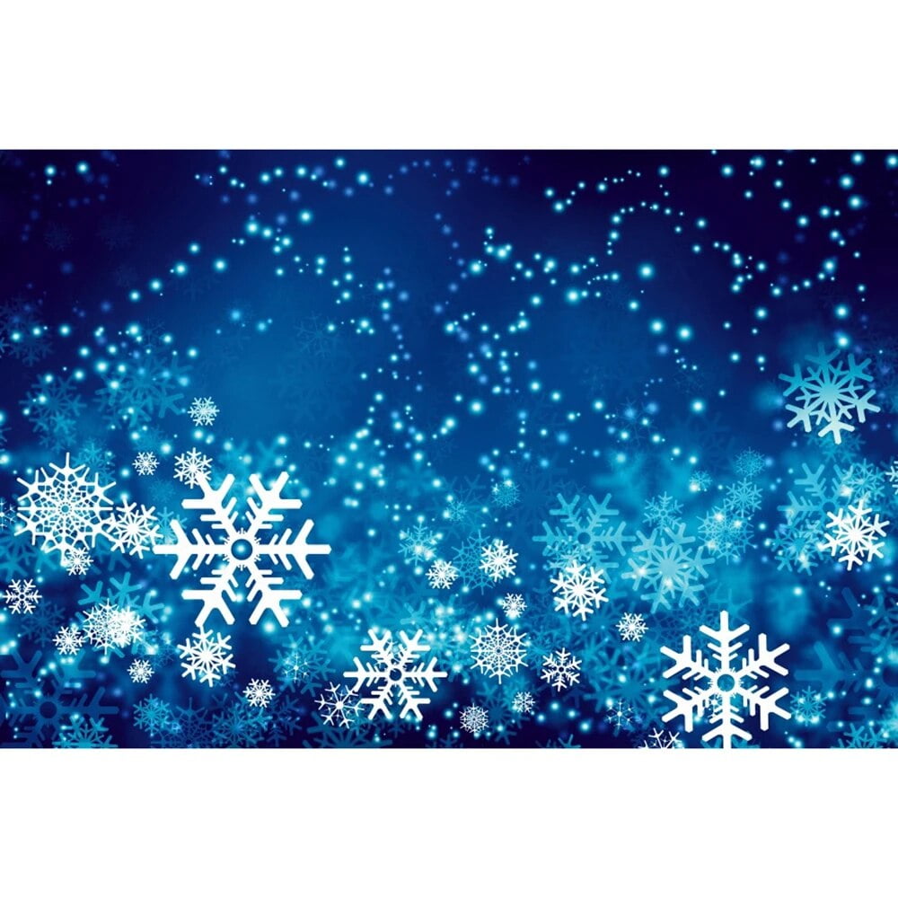Winter Shooting Star Snowflake Backdrop Village Wall Photo Glitter ...