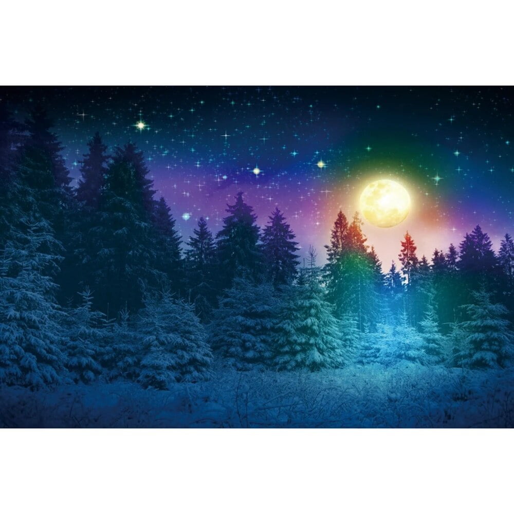 Winter Shooting Star Snowflake Backdrop Village Wall Photo Glitter ...