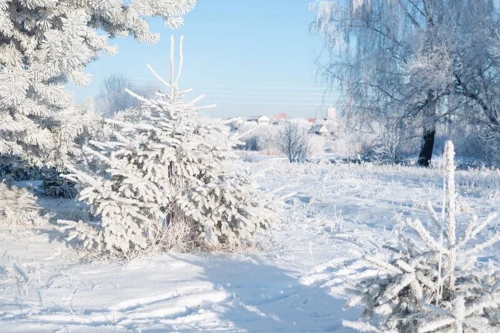 Winter Snow Backdrop Wooden House Outdoors Natural Mountains Scene Kid ...