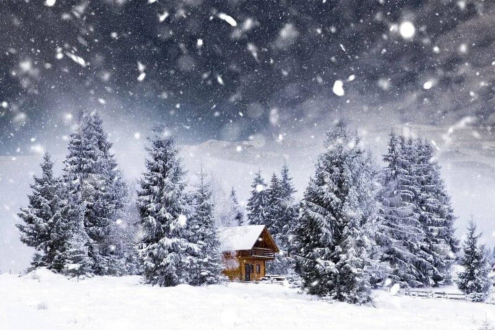 Winter Snow Backdrop Wooden House Outdoors Natural Mountains Scene Kid ...