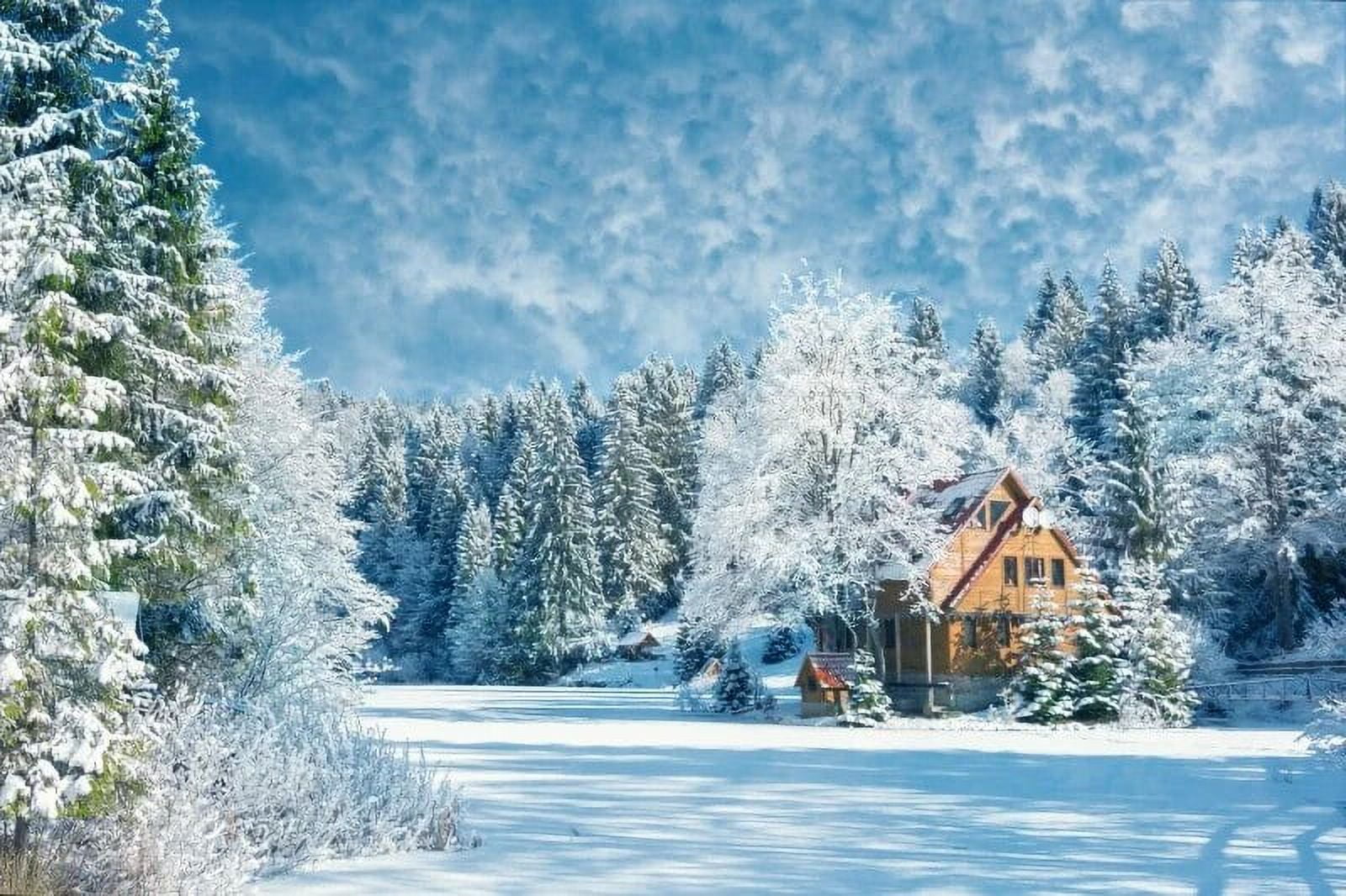 Winter Snow Backdrop Wooden House Outdoors Natural Mountains Scene Kid ...