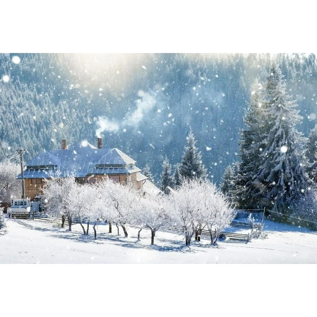 Winter Snow Backdrop Wooden House Outdoors Natural Mountains Scene Kid ...