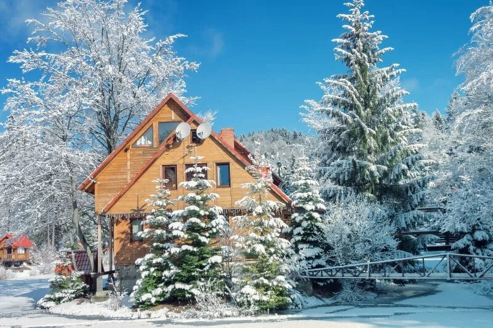 Winter Snow Backdrop Wooden House Outdoors Natural Mountains Scene Kid ...