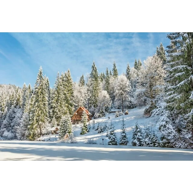 Winter Snow Backdrop Wooden House Outdoors Natural Mountains Scene Kid ...