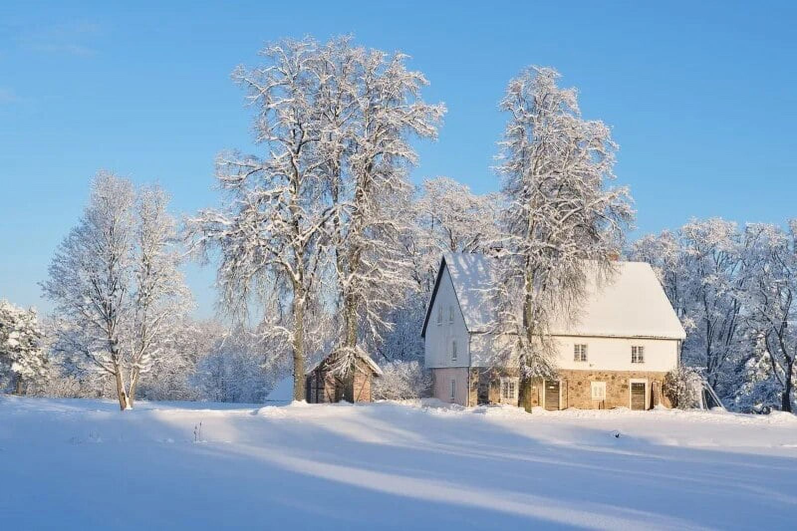 Winter Snow Backdrop Wooden House Outdoors Natural Mountains Scene Kid ...