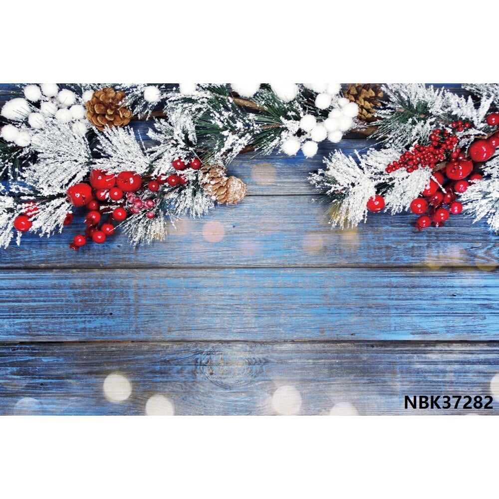 Winter Snow Christmas Photocall Blue Wooden Board Baby Photography ...
