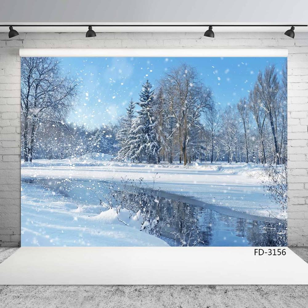 Winter Snow Forest Jungle Ice River Sky View Photocall Background ...