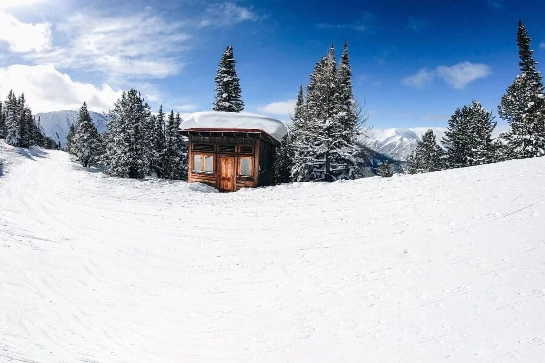 Winter Snow Landscape Photography Background Customize Forest Backdrop ...