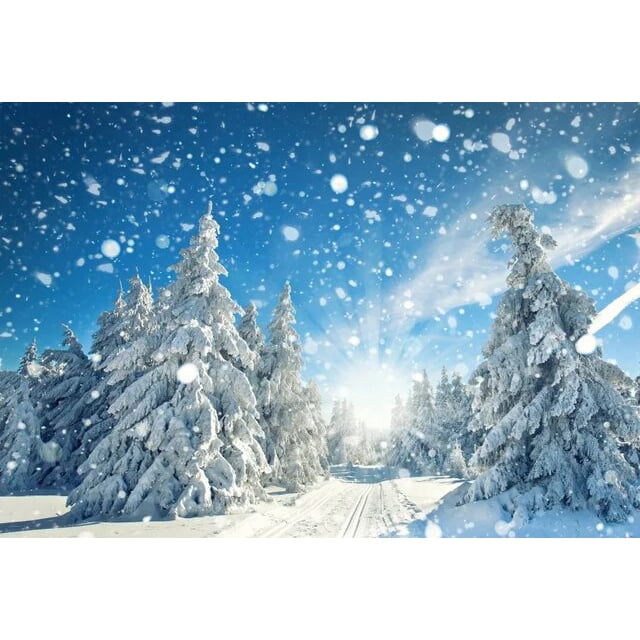 Winter Snow Mountain Pine Tree Forest Way Natural View Scenic ...