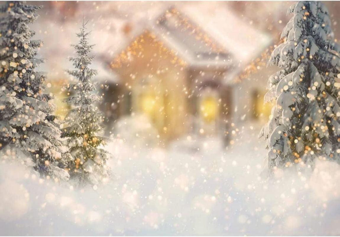 Winter Snow Scene Backdrop Family Party ration Background for ...