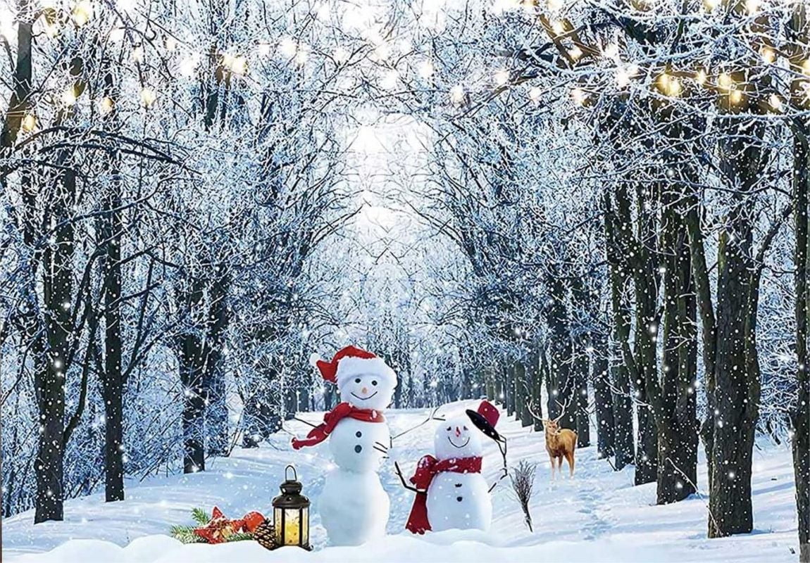 Winter Snow Scene Backdrop Family Party ration Background for ...