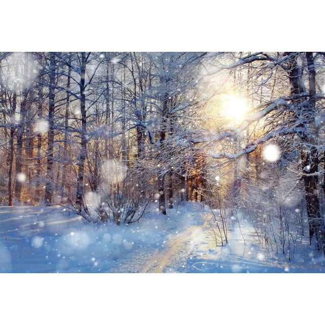 Winter Snow Scene Backdrop Night White Pine Forest Wonderland Natural Scenery Christmas Portrait ...
