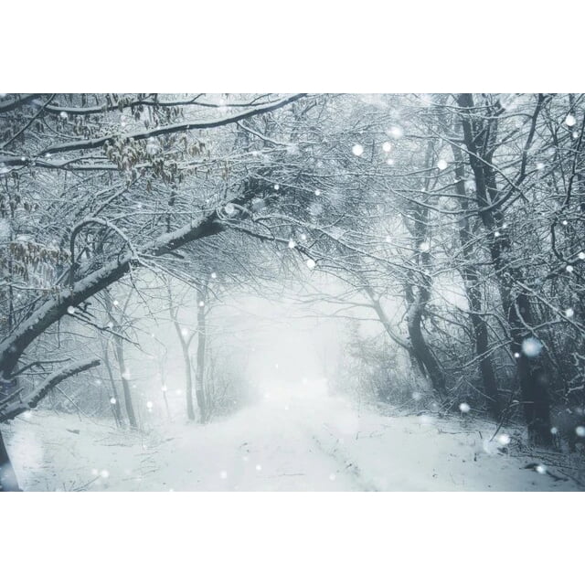 Winter Snow Scene Backdrop Night White Pine Forest Wonderland Natural Scenery Christmas Portrait ...