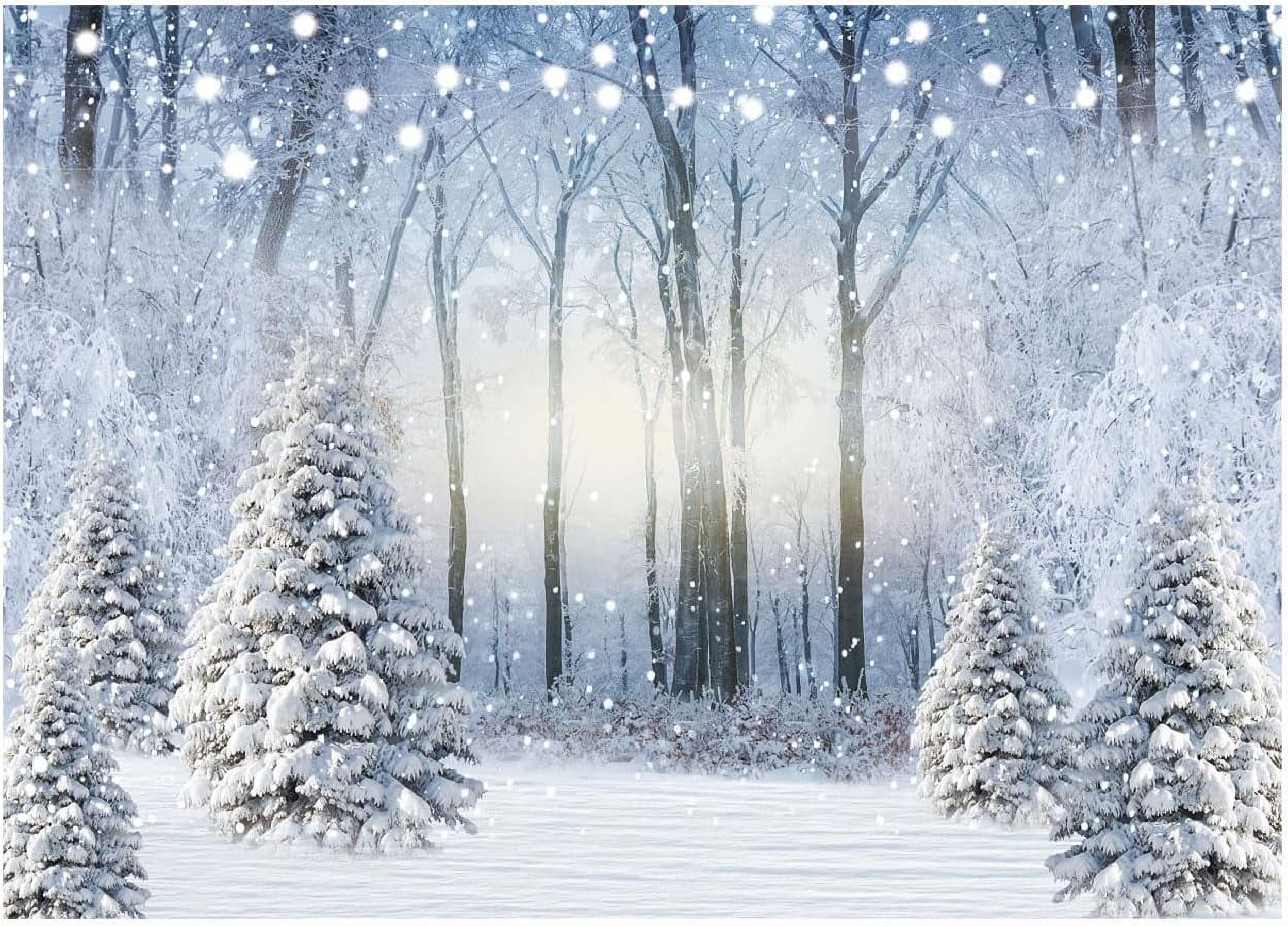 Winter Snow Scene Backdrop Winter Forest Photography Backdrop Christmas ...