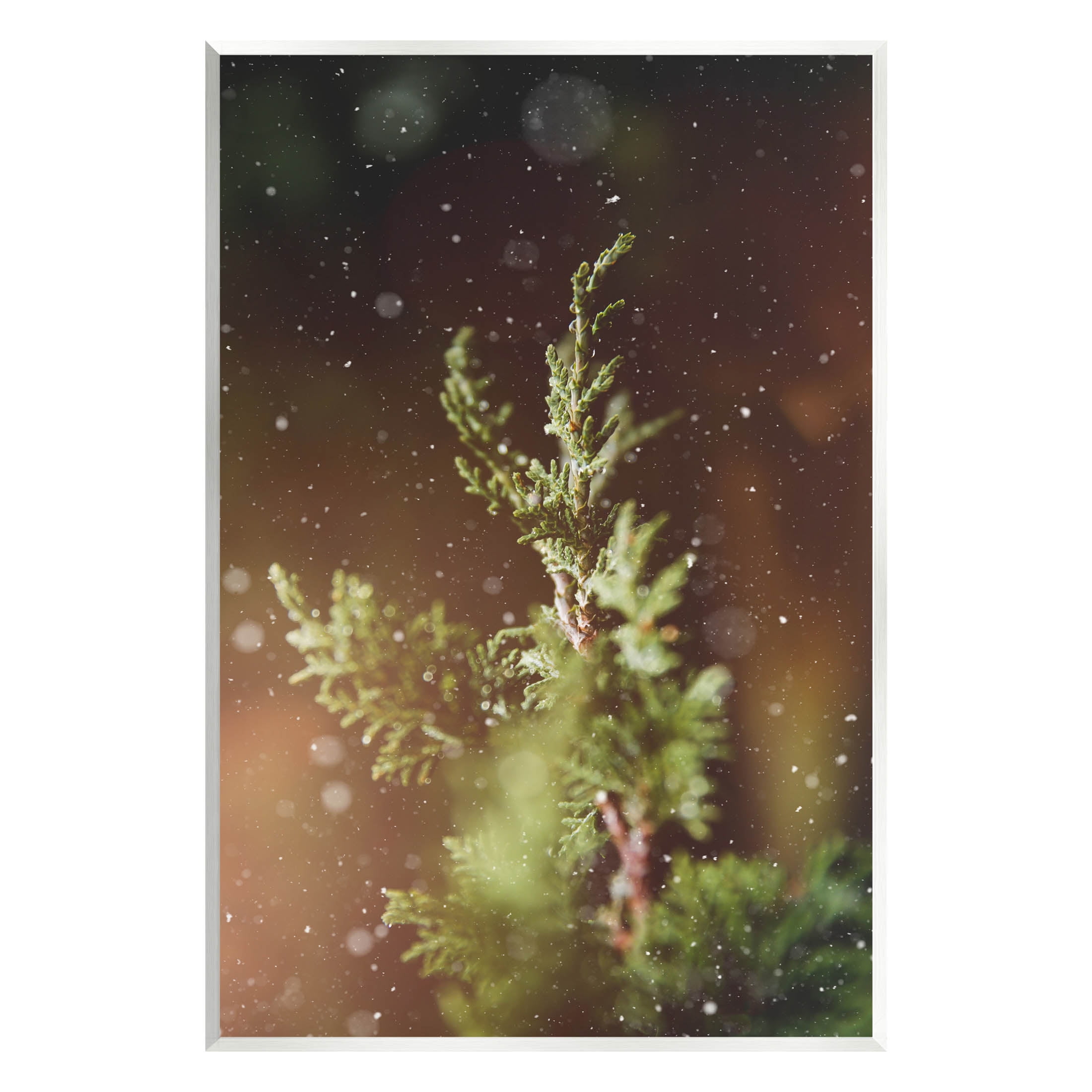 Stupell Industries Winter Snowfall Pine Tree Nature Art Print Wall ...