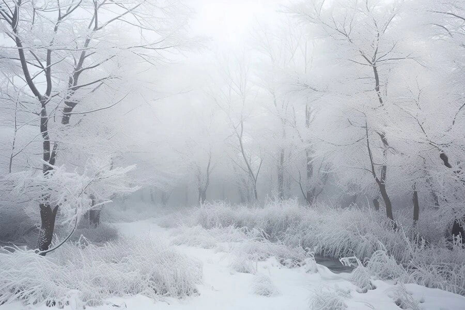 Winter Snowy Forest Backdrop Trees Snowflake Pine Trees Nature Scence ...