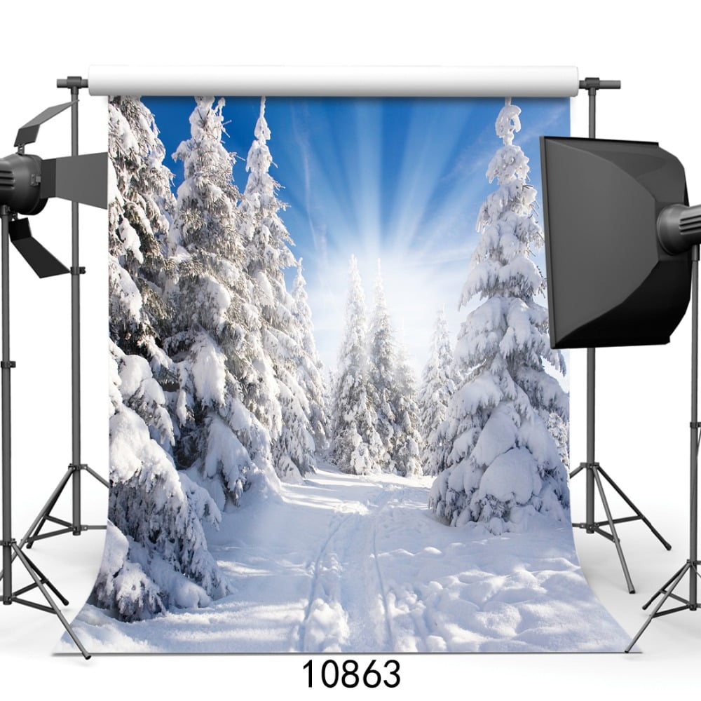 Winter Snowy Tree Photography Backdrops Forest Sunlight Backgrounds for ...