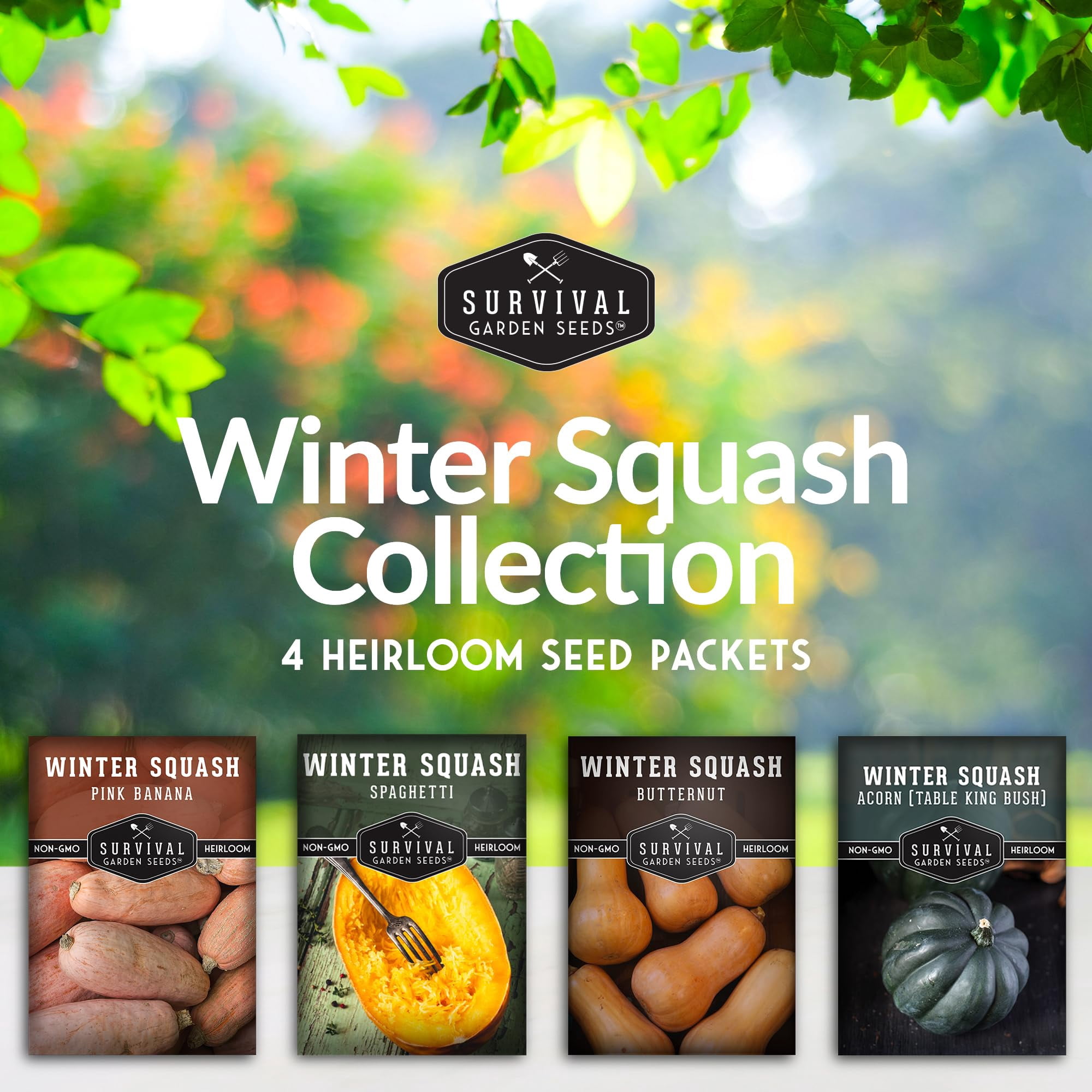 Winter Squash Seed FEV6 Collection - Butternut, Acorn, Pink Banana ...