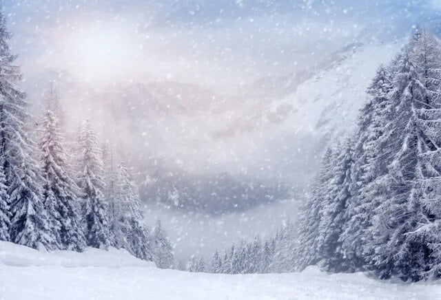 Winter White Forest Snowflake Light Bokeh Christmas Landscape Photo ...