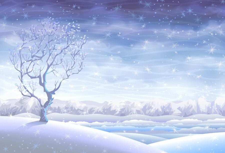 Winter White Forest Snowflake Light Bokeh Christmas Landscape Photo ...