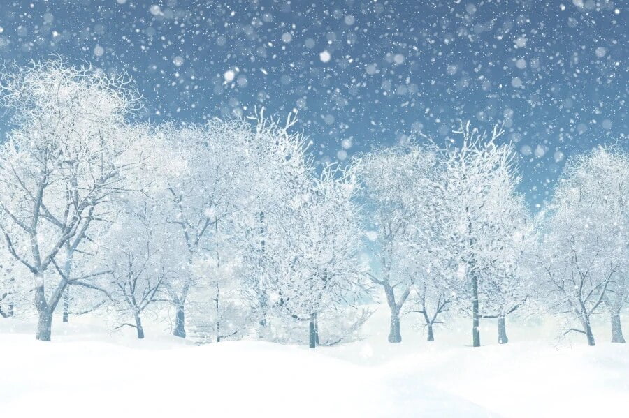 Winter White Forest Snowflake Light Bokeh Christmas Landscape Photo ...