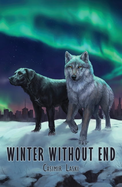Winter Without End (Paperback) - Walmart.com