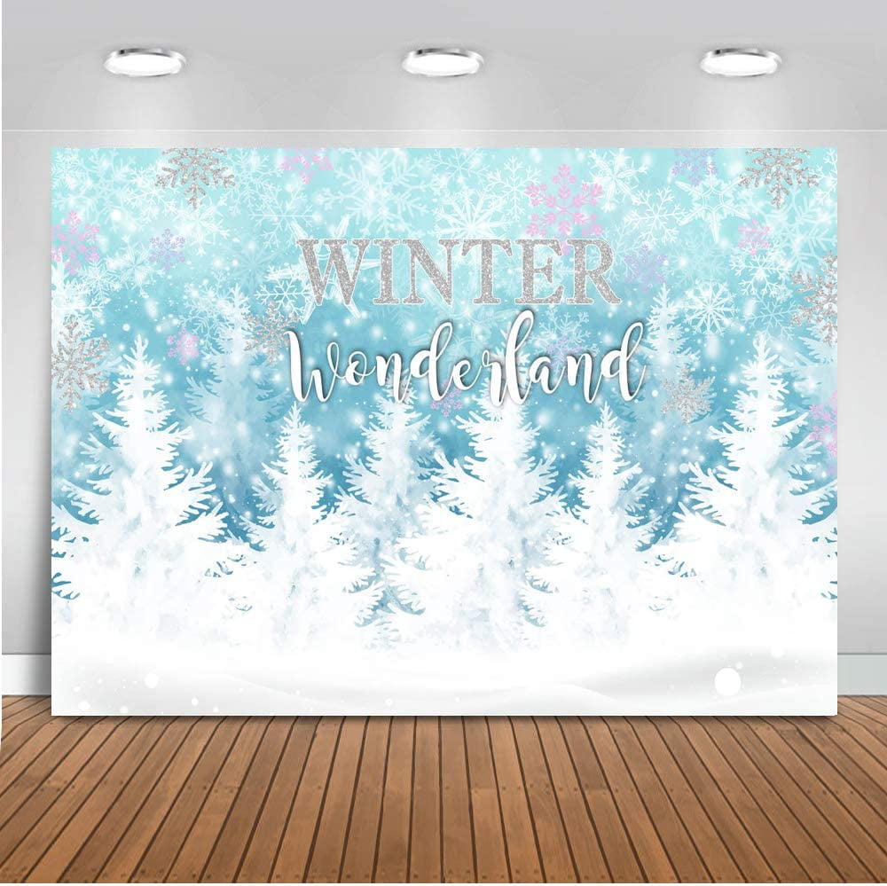 Winter Wonderland Backdrop Blue Snowflake Winter Onerderland Background ...