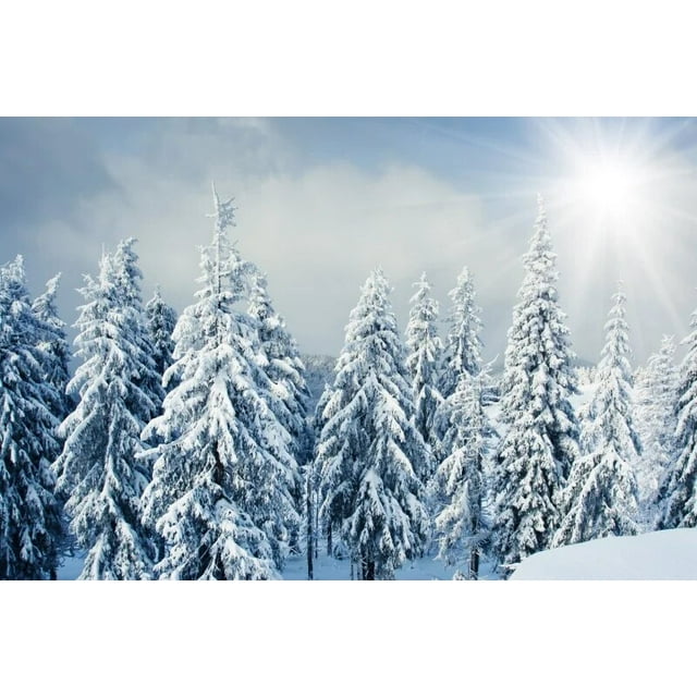 Winter Wonderland Backdrop Snow Landscape Scene Forest Pine Tree New ...
