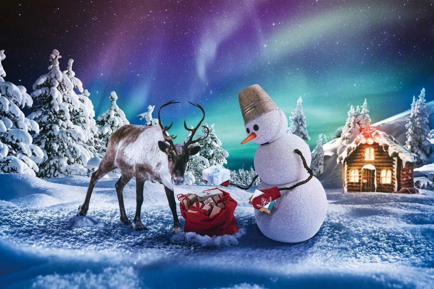 Winter Wonderland Christmas Backdrop Winter Snowflakes Glitter Sparkle Bokeh Baby Kid Birthday ...