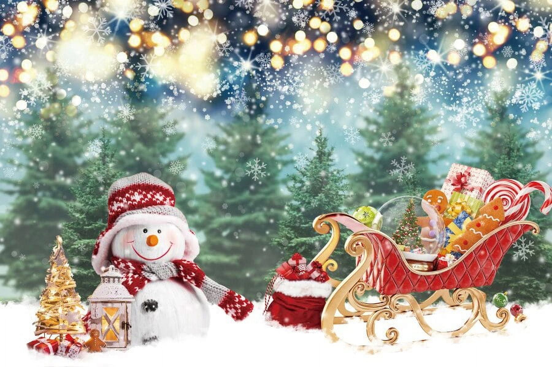 Winter Wonderland Christmas Backdrop Winter Snowflakes Glitter Sparkle Bokeh Baby Kid Birthday ...